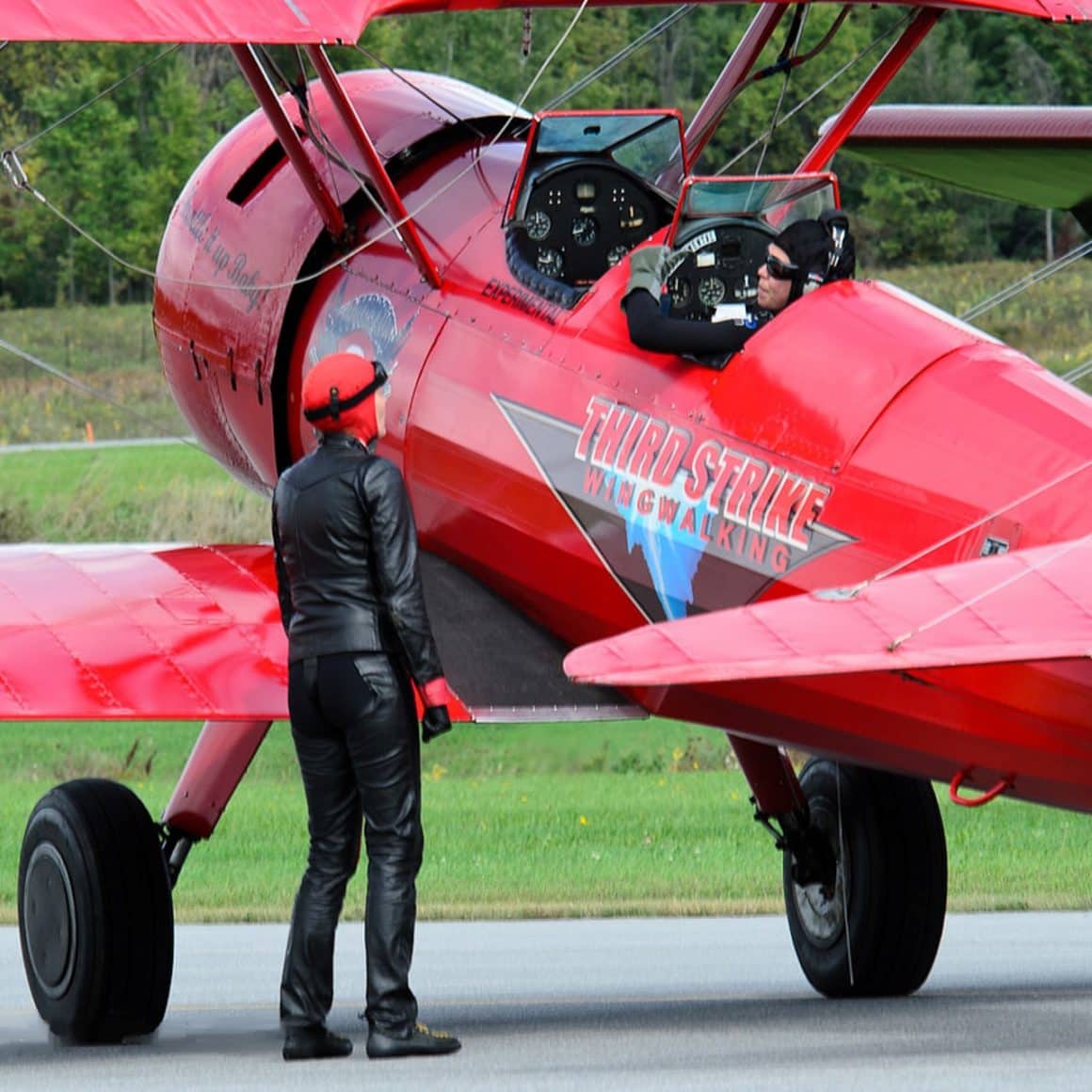 Wing Walking ; Carol Pilon… – Gatsby Online