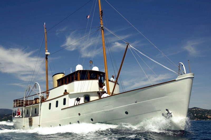 Blue-Bird… – Gatsby Online